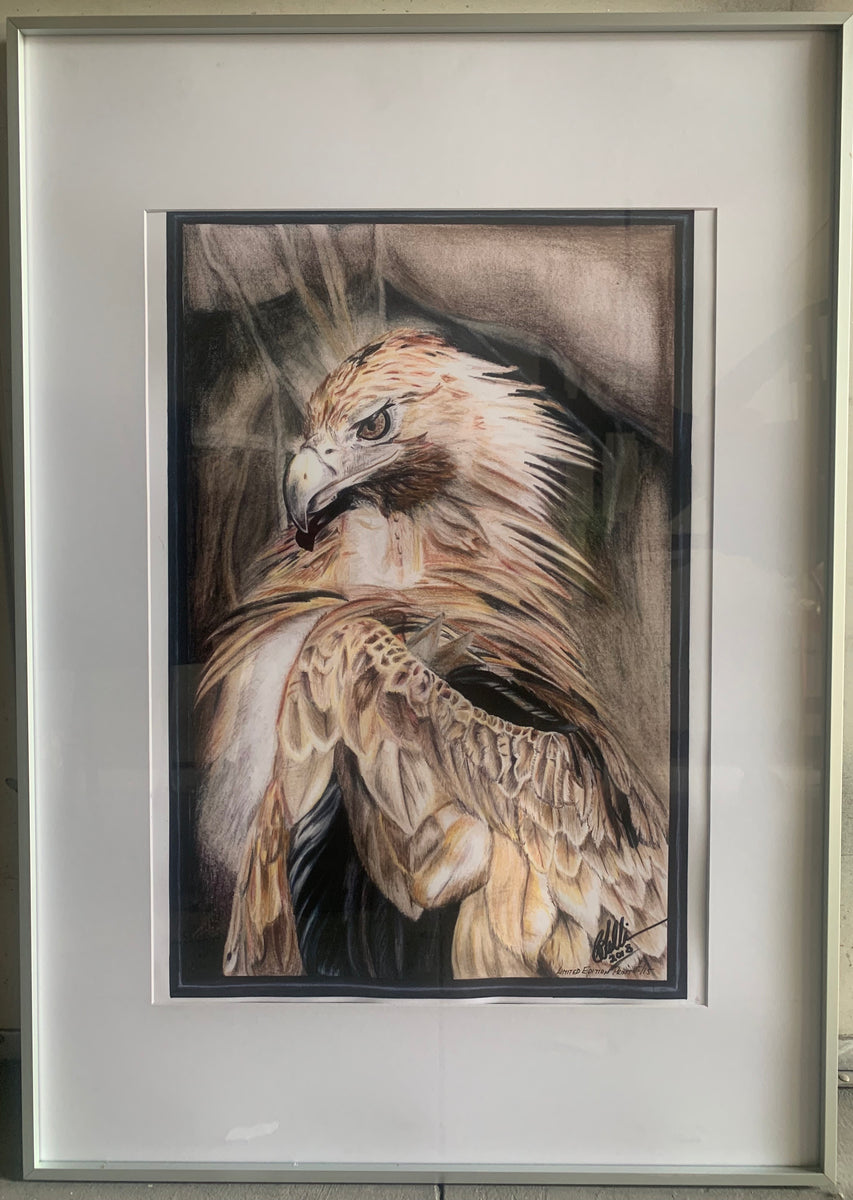 Limited edition eagle print – SullivanSketching